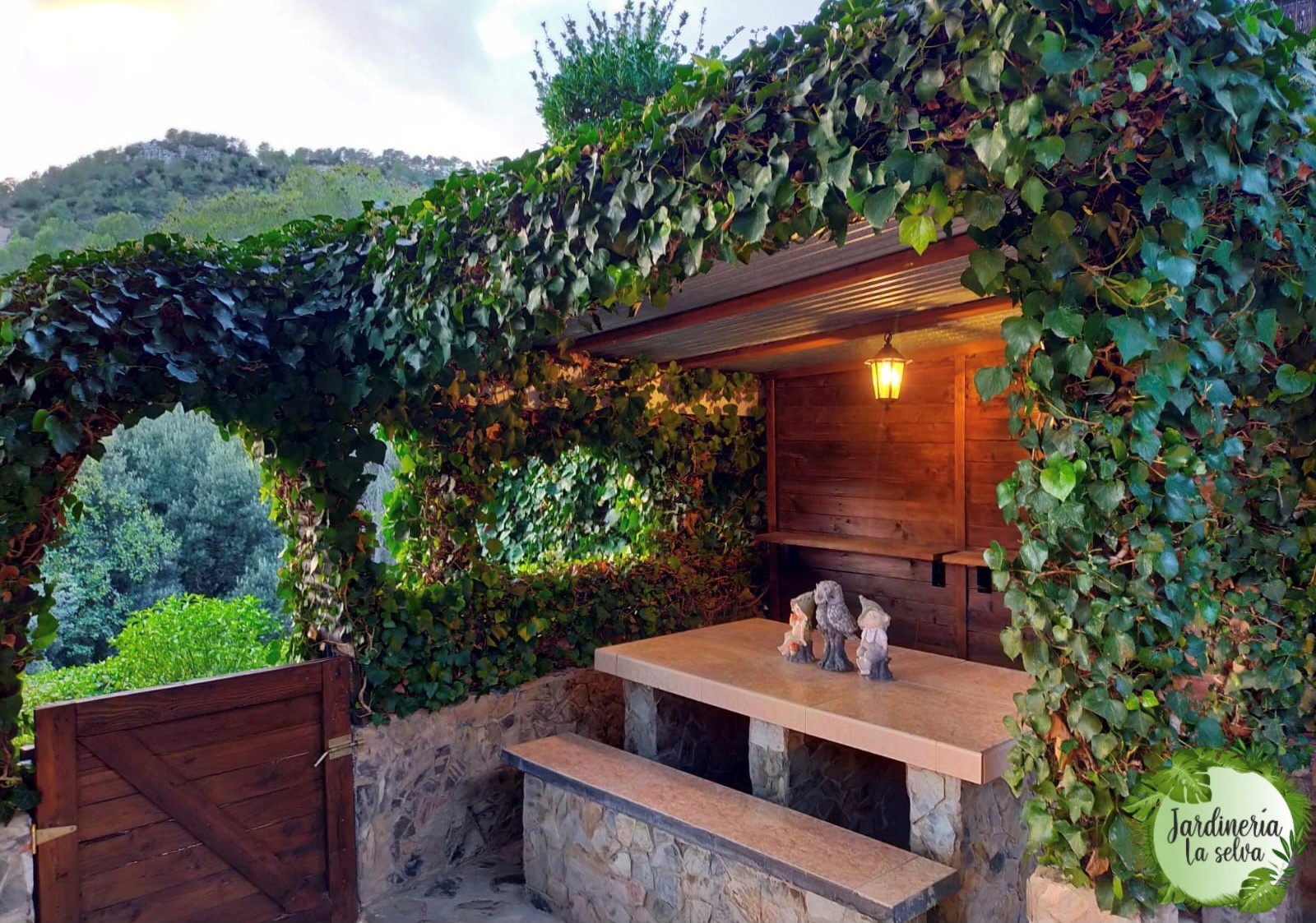 Poda de enredaderas – Jardineria La Selva
